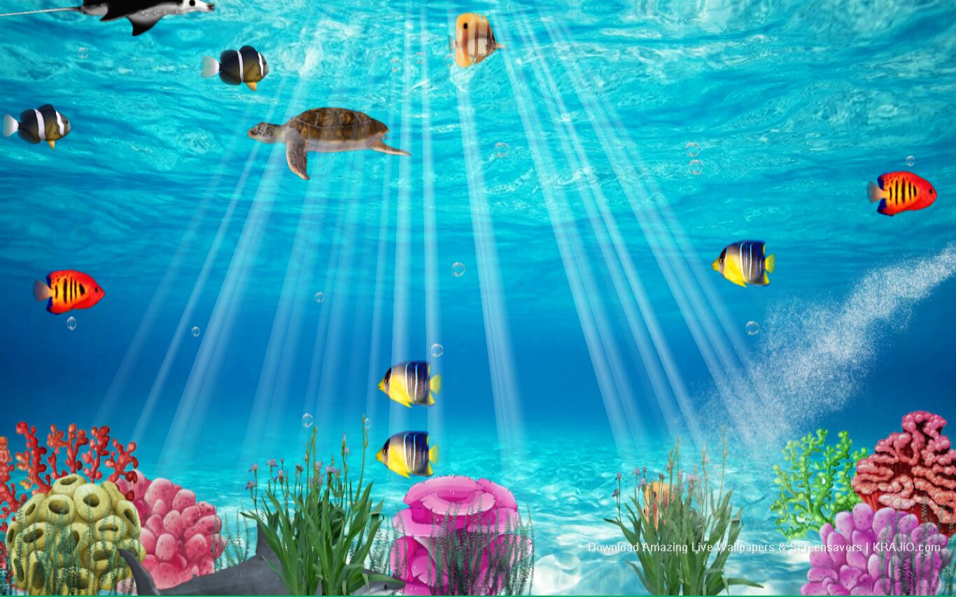 Captivating Fish Aquarium Live Wallpaper For PC For PC 4K HD Background